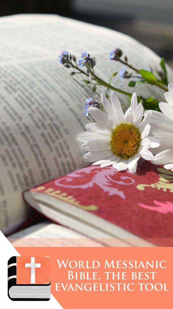 Jewish Bible Complete | Foundation Bible Study